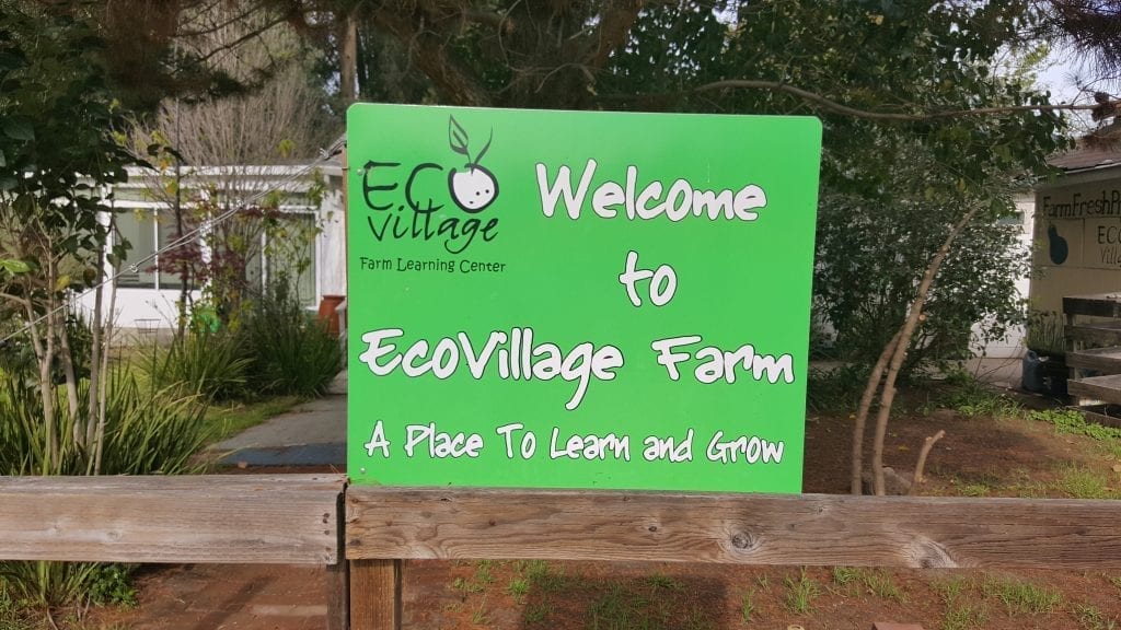 Eco-Road Trip – Ecovillage Farm Learning Center – Taylor Scott Nelson